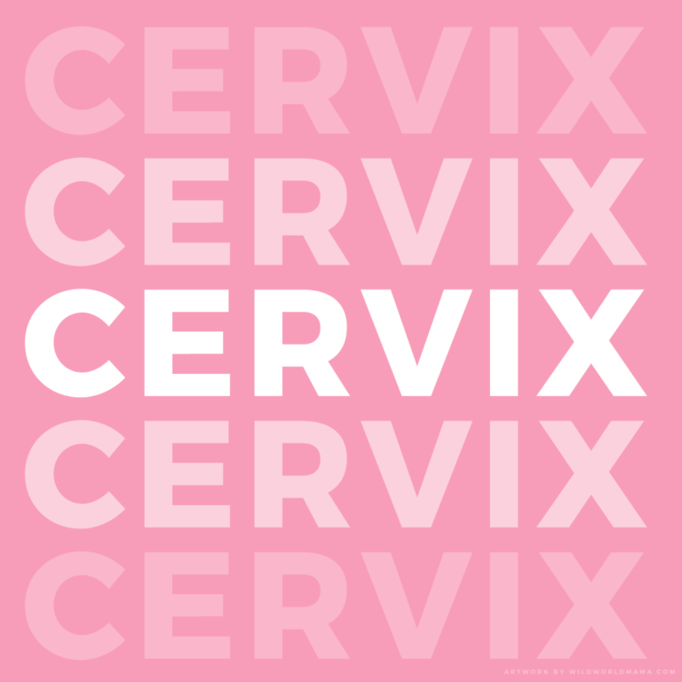 5 Ways to Help Soften the Cervix - daniellehoganmidwife.com